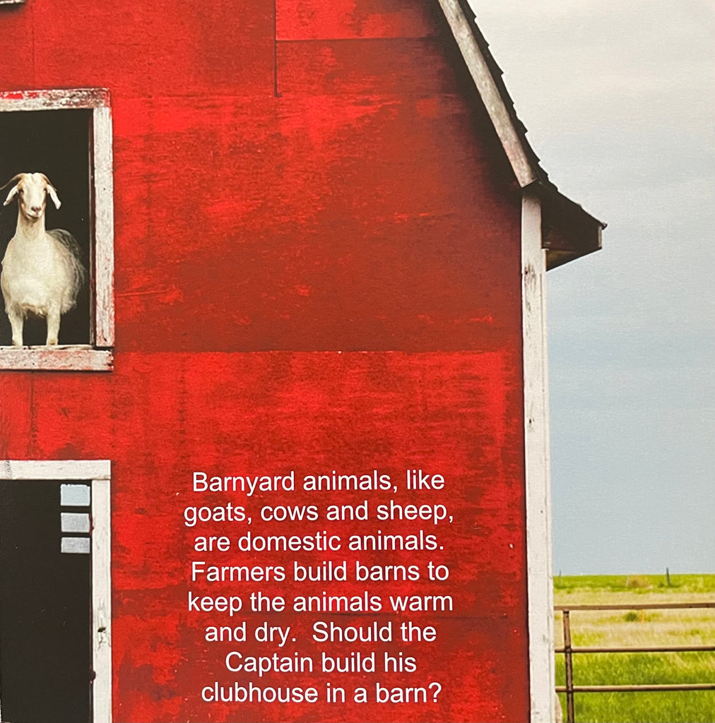 Do Butterflies Like Butter? - Early Reading Book – Curiosity Zone Store